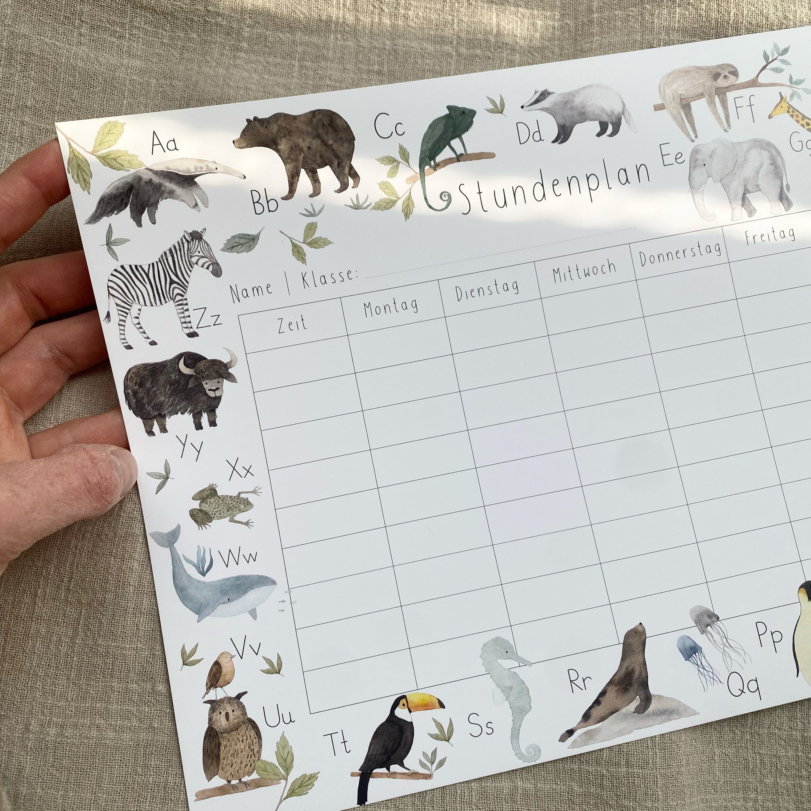 Stundenplan - ABC Tiere