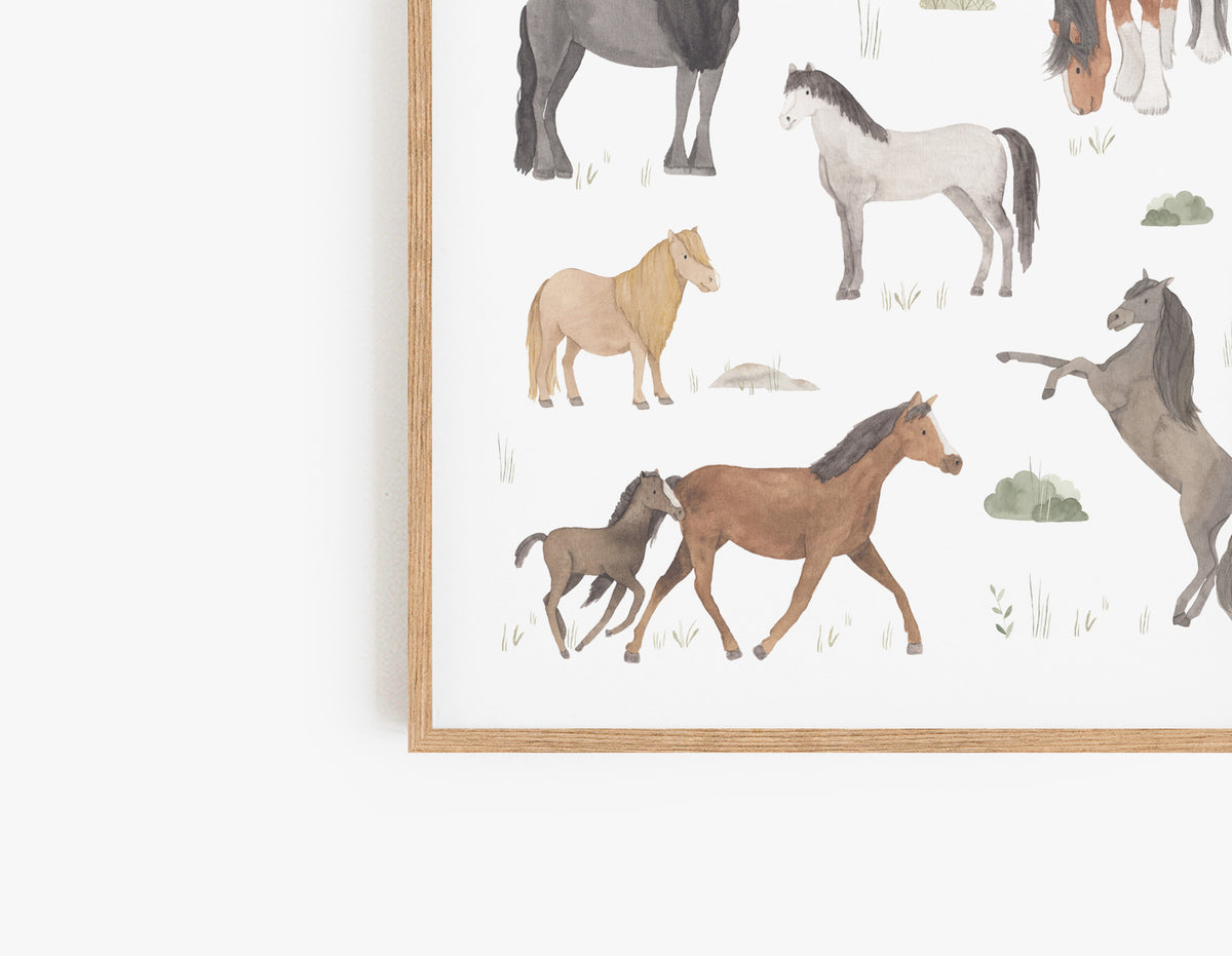 Poster/Kunstdruck - Pferde