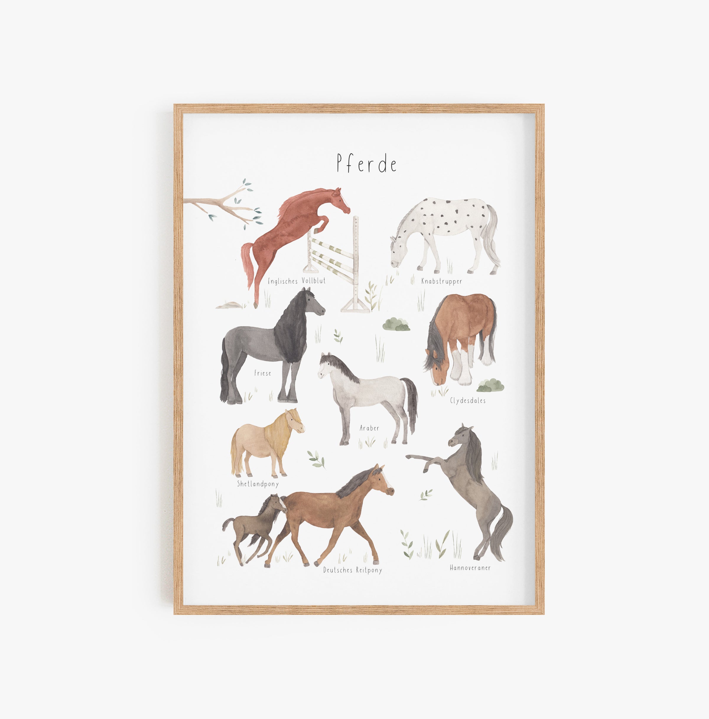 Poster/Kunstdruck - Pferde