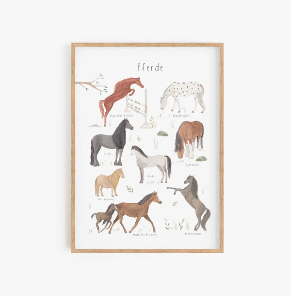 Poster/Kunstdruck - Pferde